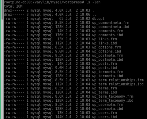 How to reclaim or shrink unused space in MySql Ibdata1 file? – Calidade ...